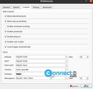 Viper Browser Qt5 Based Lightweight Web Browser | CONNECTwww.com