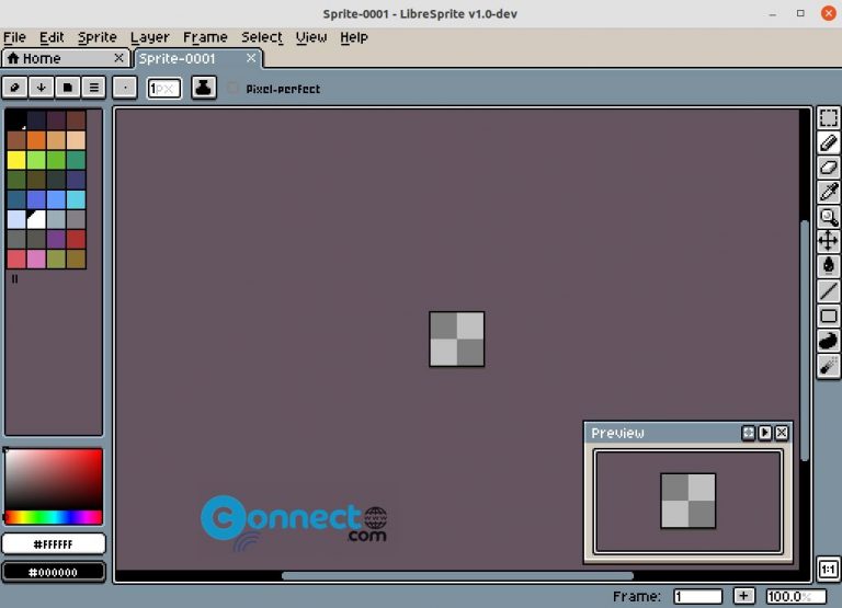 LibreSprite Animated Sprite Editor and Pixel Art Tool | CONNECTwww.com