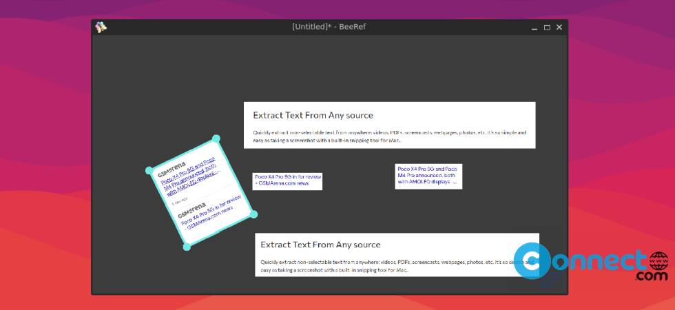 BeeRef Reference Image Viewer App | CONNECTwww.com