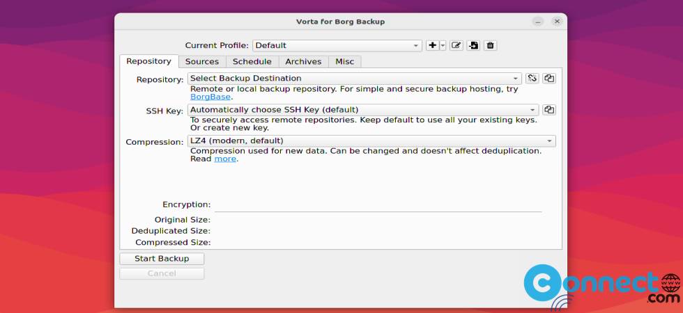Vorta Borg Backup Client Software