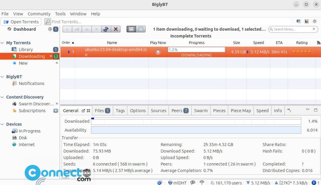 BiglyBT BitTorrent Client Software | CONNECTwww.com