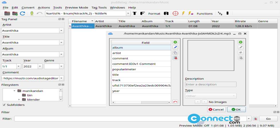Puddletag Audio Tag Editor | CONNECTwww.com