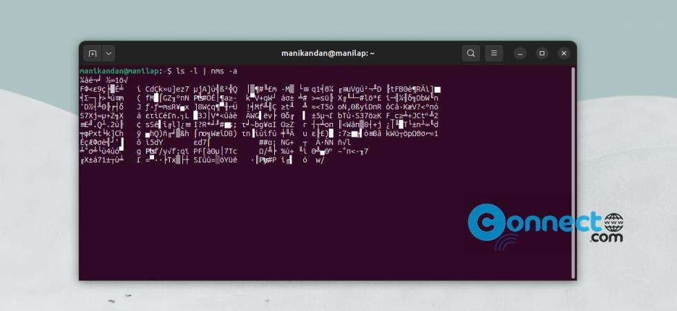 No More Secrets Data Decryption Effect on Ubuntu | CONNECTwww.com