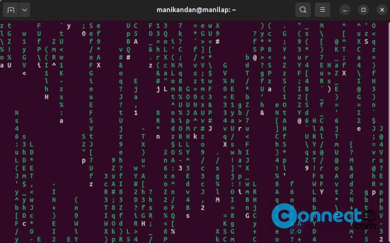 The Matrix Falling Green Characters on Ubuntu Terminal | CONNECTwww.com