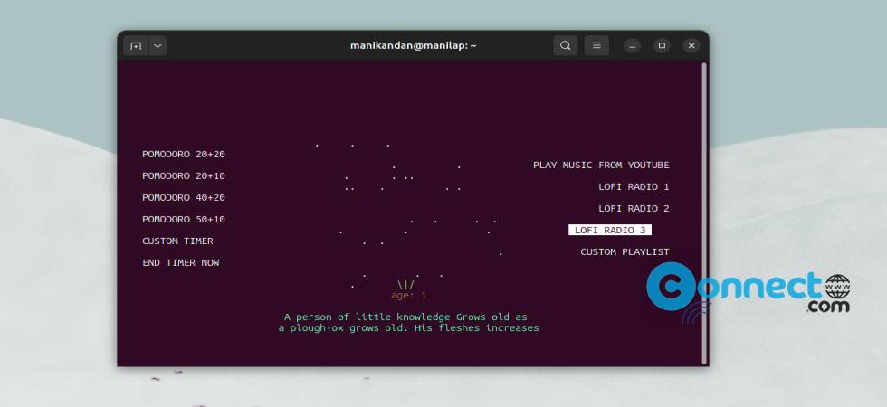 How to Increase your Concentration with Wisdom Tree app | CONNECTwww.com