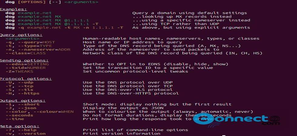 Dog Command line DNS Client | CONNECTwww.com