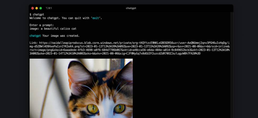 How To Use Chatgpt And Dall E From Command Line Using Chatgpt Shell Cli 5489