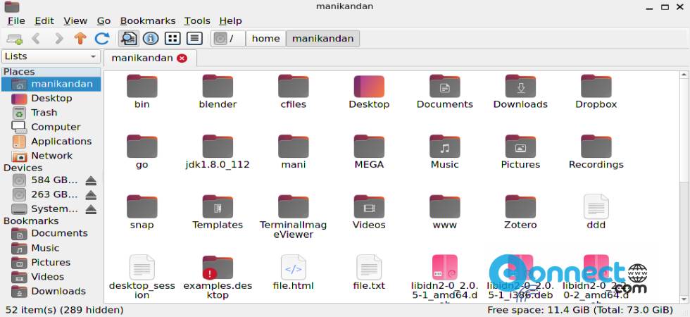 PCManFM-Qt File Manager | CONNECTwww.com