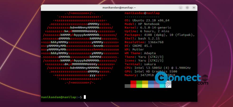 Sakura Terminal Emulator