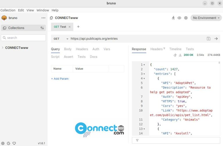 Bruno API Testing Client | CONNECTwww.com
