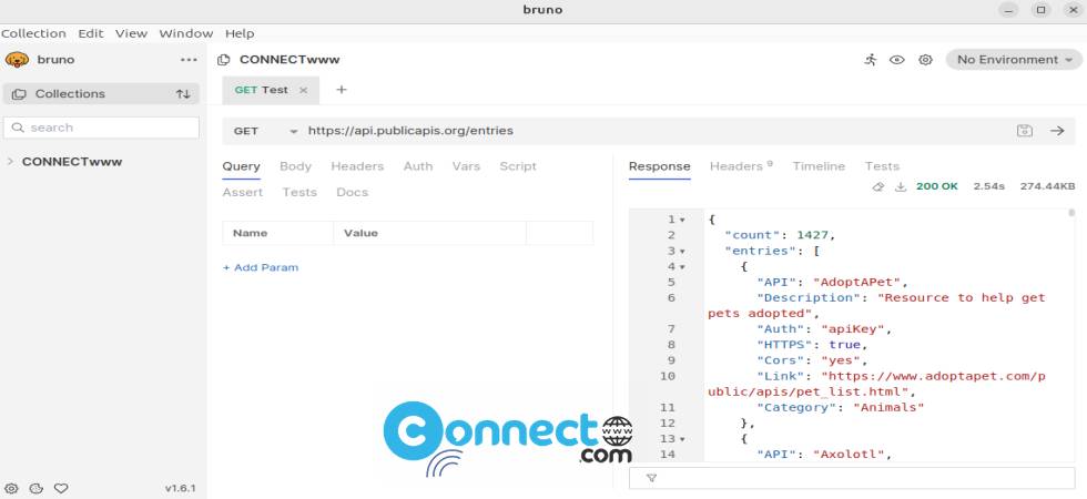 Bruno API Testing Client | CONNECTwww.com Bruno API Testing Client | CONNECTwww.com