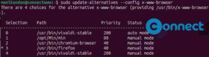 How to Set Your Favorite Browser as Default through Terminal in Ubuntu | CONNECTwww.com