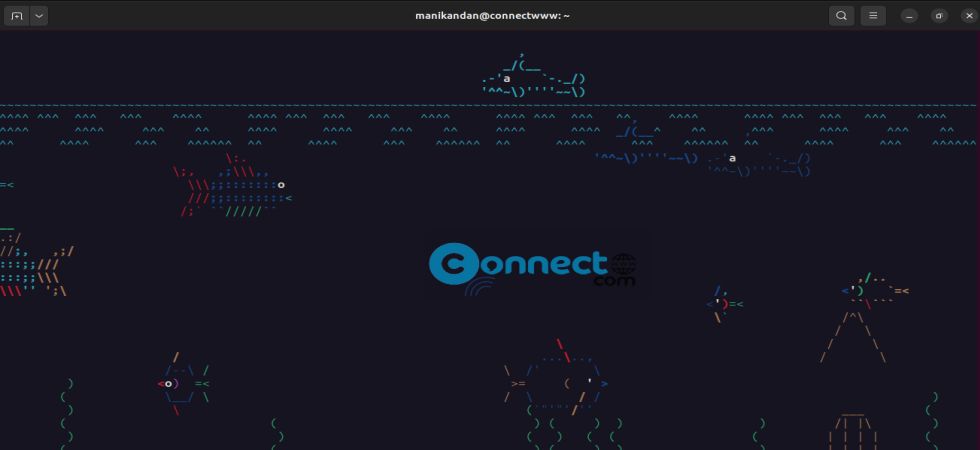 Turn Your Linux Terminal into Aquarium | CONNECTwww.com Turn Your Linux Terminal into Aquarium | CONNECTwww.com