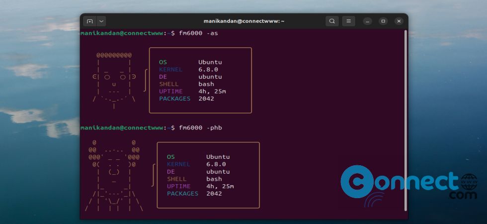 How to Install Fetch Master 6000 System Information Tool | CONNECTwww.com How to Install Fetch Master 6000 System Information Tool | CONNECTwww.com