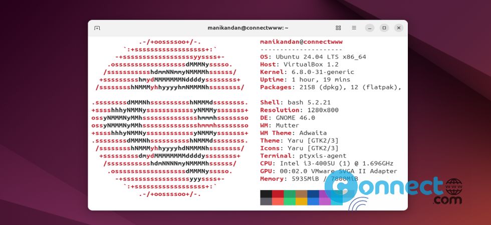 Ptyxis Terminal Emulator | CONNECTwww.com
