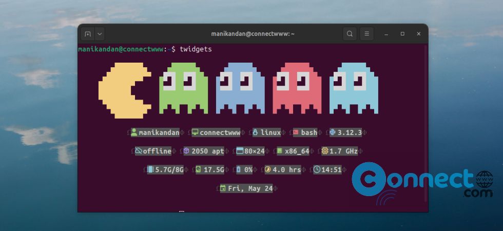Terminal Widgets System Information Application | CONNECTwww.com